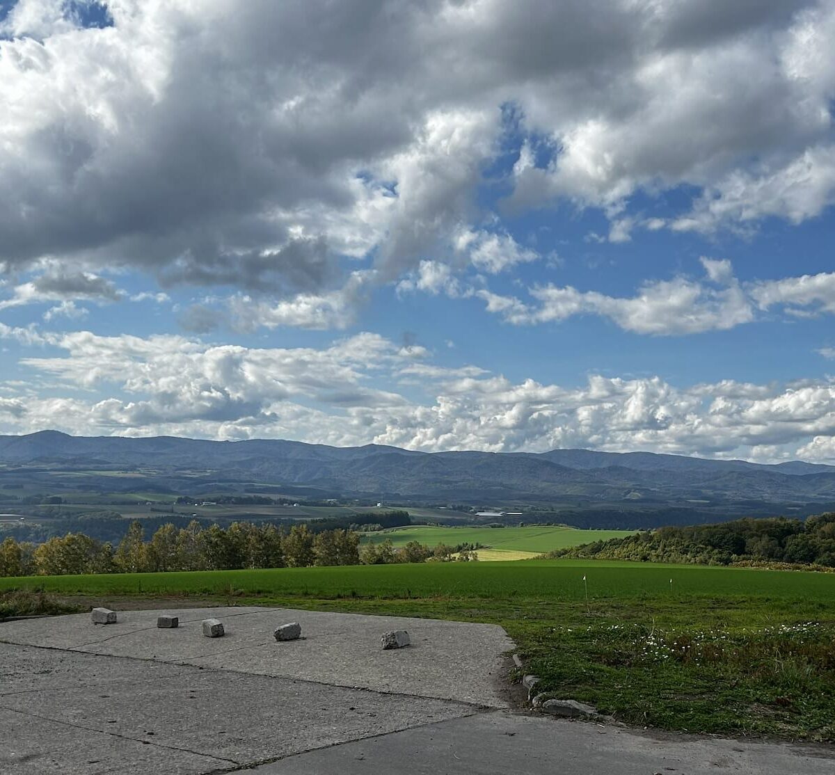 取材レポート – FOREST TABLEができるまで – karf CONTENTS